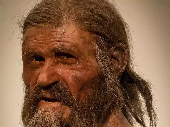 ancient Iceman 1.1 | ARCHAEOLOGY WORLD