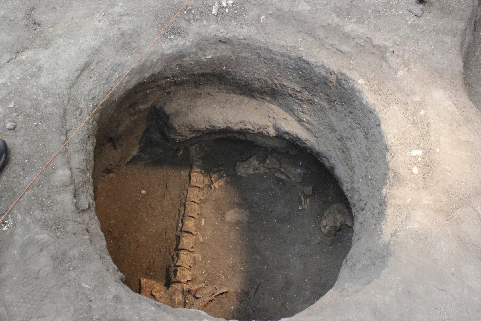 An Underground City Full Of Giant Skeletons Discovered In The Grand ...