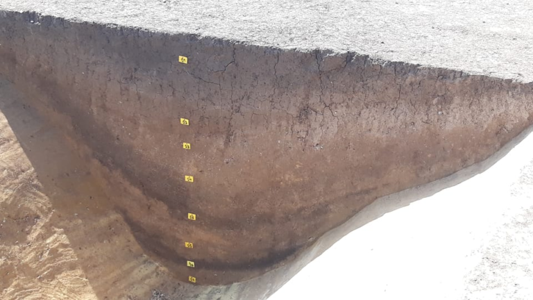 Archaeologists in Prague uncover the ancient 7000-year-old neolithic ...