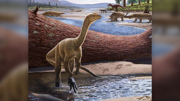 This 230-Million-Year-Old African Dinosaur is the Oldest Dinosaur ...