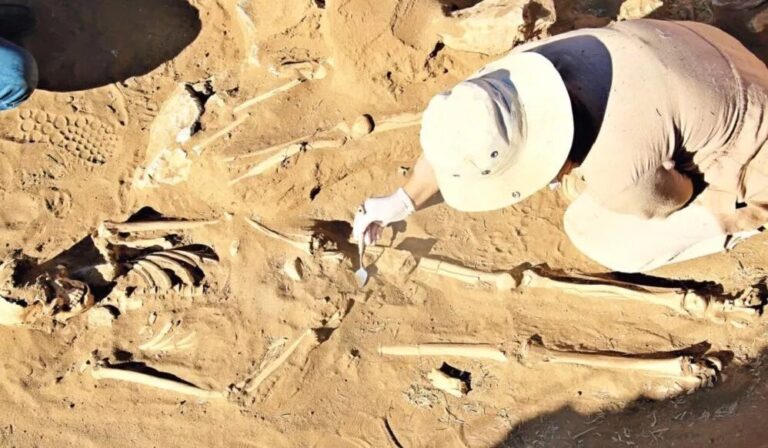 Unusual Burials Unearthed in Turkey’s Ancient Port of Anemurium ...