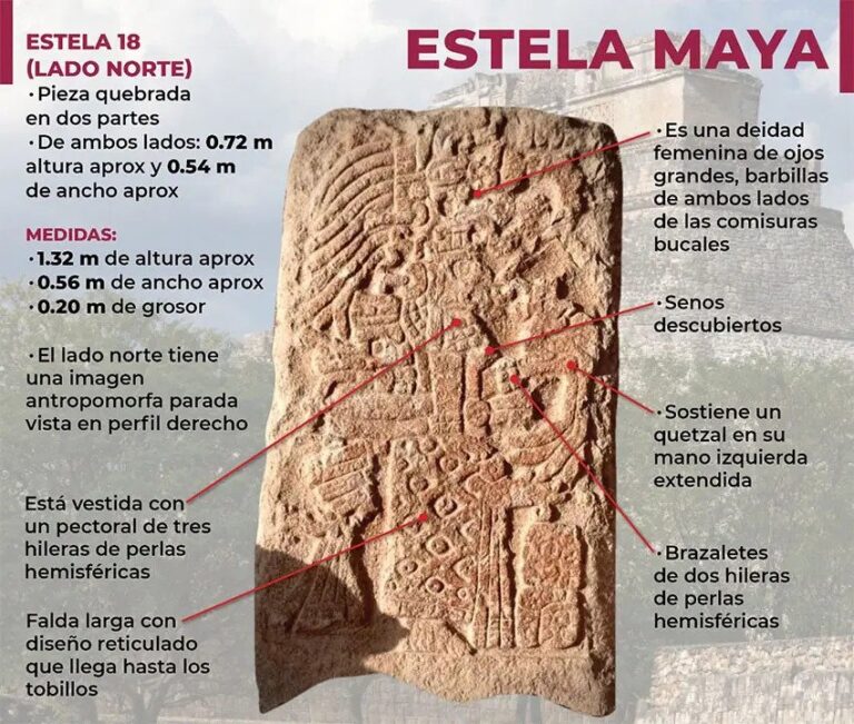 Maya Stela Discovered at Uxmal | ARCHAEOLOGY WORLD