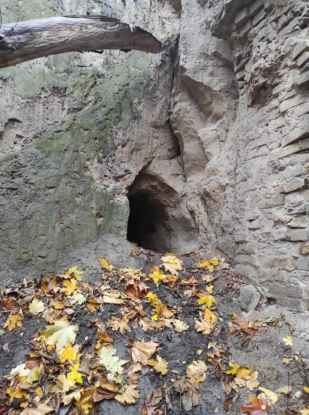 A cave complex 4 | ARCHAEOLOGY WORLD