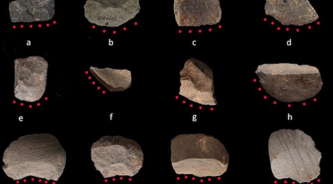 Stone Tools Offer Clues to Rice Domestication in China