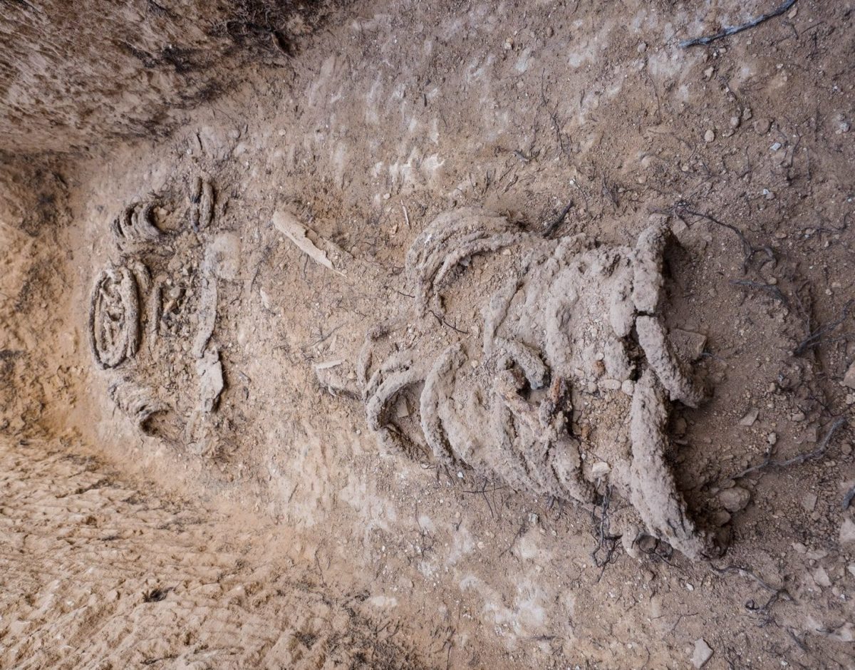 Byzantine monk chained with iron rings unearthed near Jerusalem ...