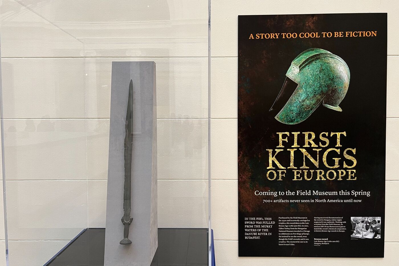 Authentic 3,000-Year-Old Bronze Age sword put on display at Field ...