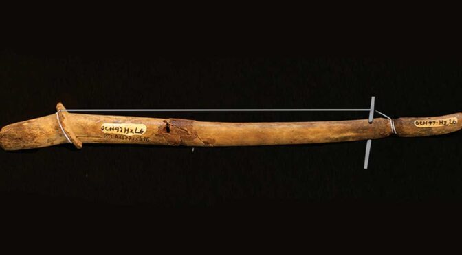 A 2,000-Year-Old Antler In Vietnam May Be Oldest Music Instrument Of ...
