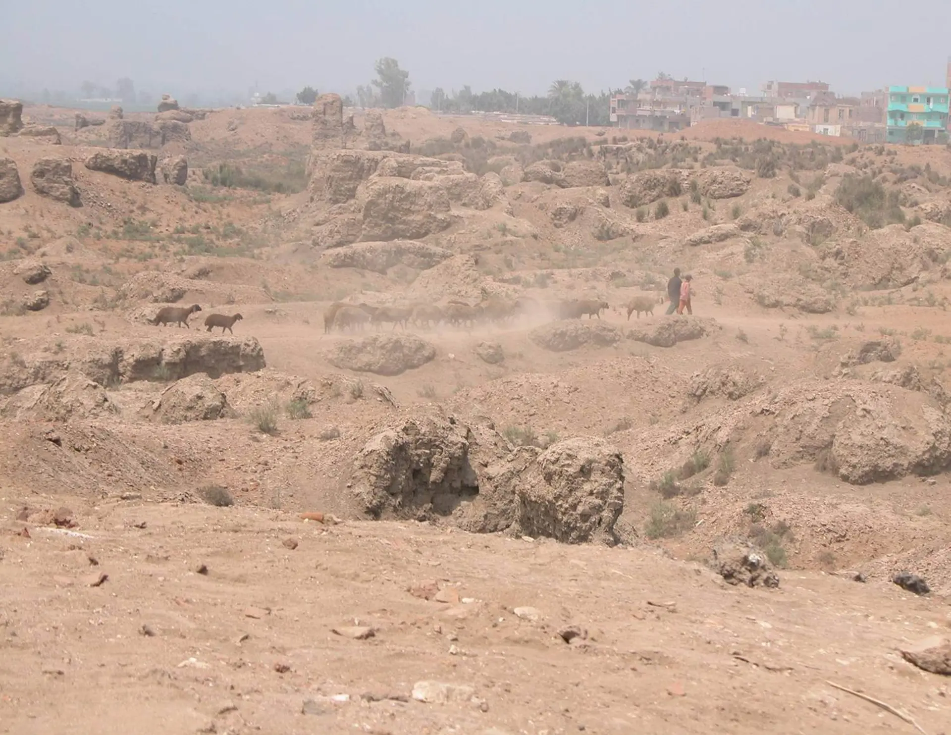 gyptian rebellion 6 | ARCHAEOLOGY WORLD