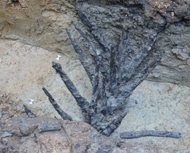 The first Roman fort with wooden defenses was discovered in Germany ...