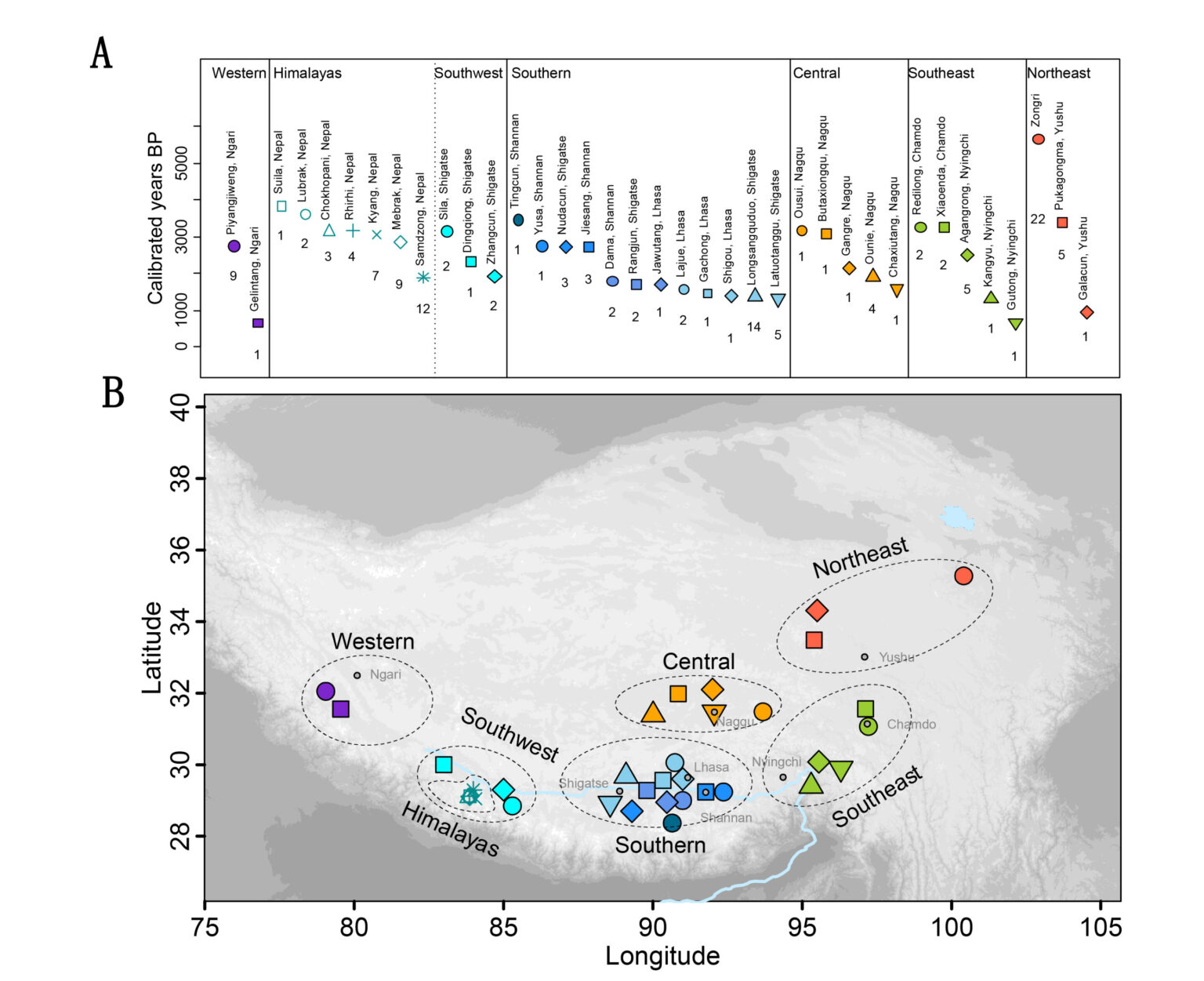 Genomic study of ancient humans sheds light on human evolution on the ...