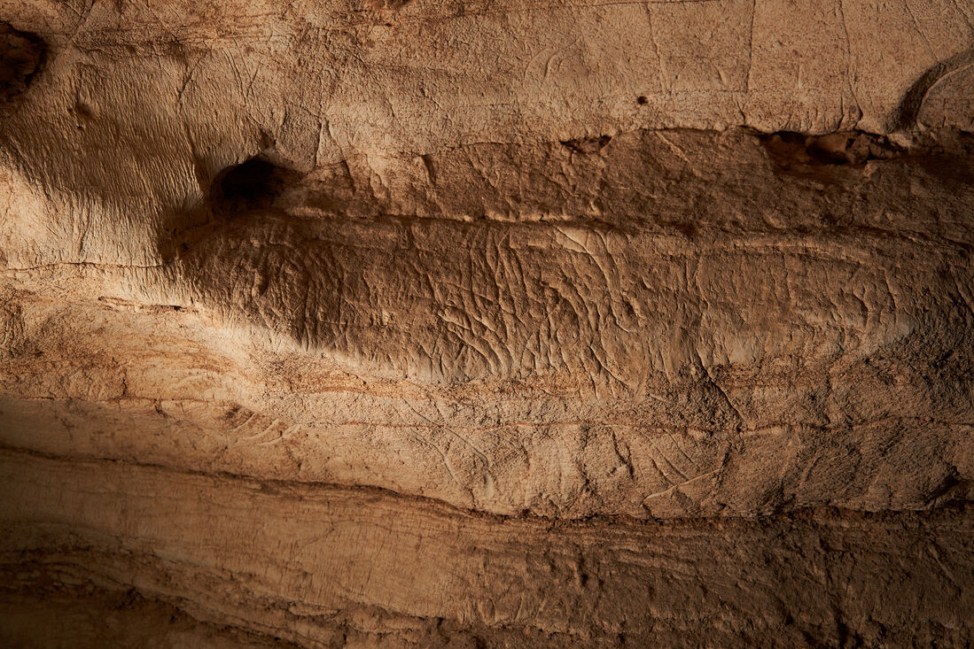Unique and very well-preserved prehistoric engravings found in ...