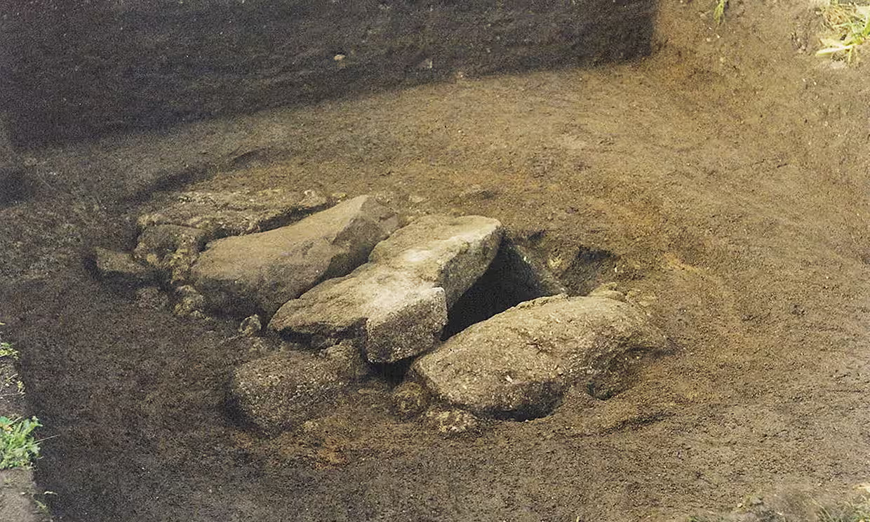 Tooth Enamel Analysis Offers Clue to the Identity of Iron Age Warrior ...