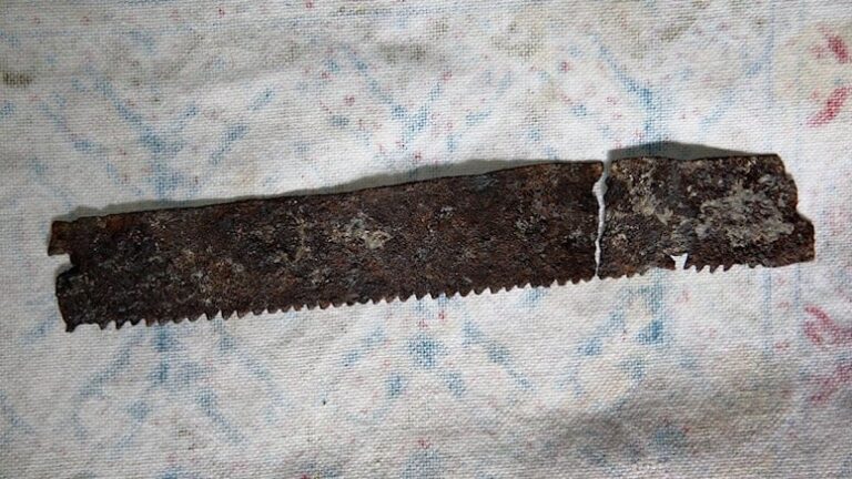 A rare 2500-year-old saw, the first of its kind, discovered in Anatolia ...
