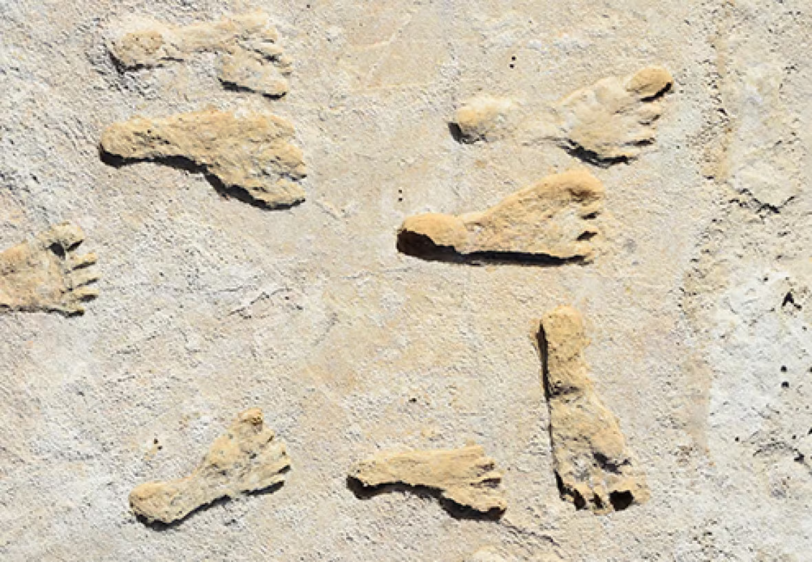 Indigenous archaeologist argues humans may have arrived here 130,000 ...