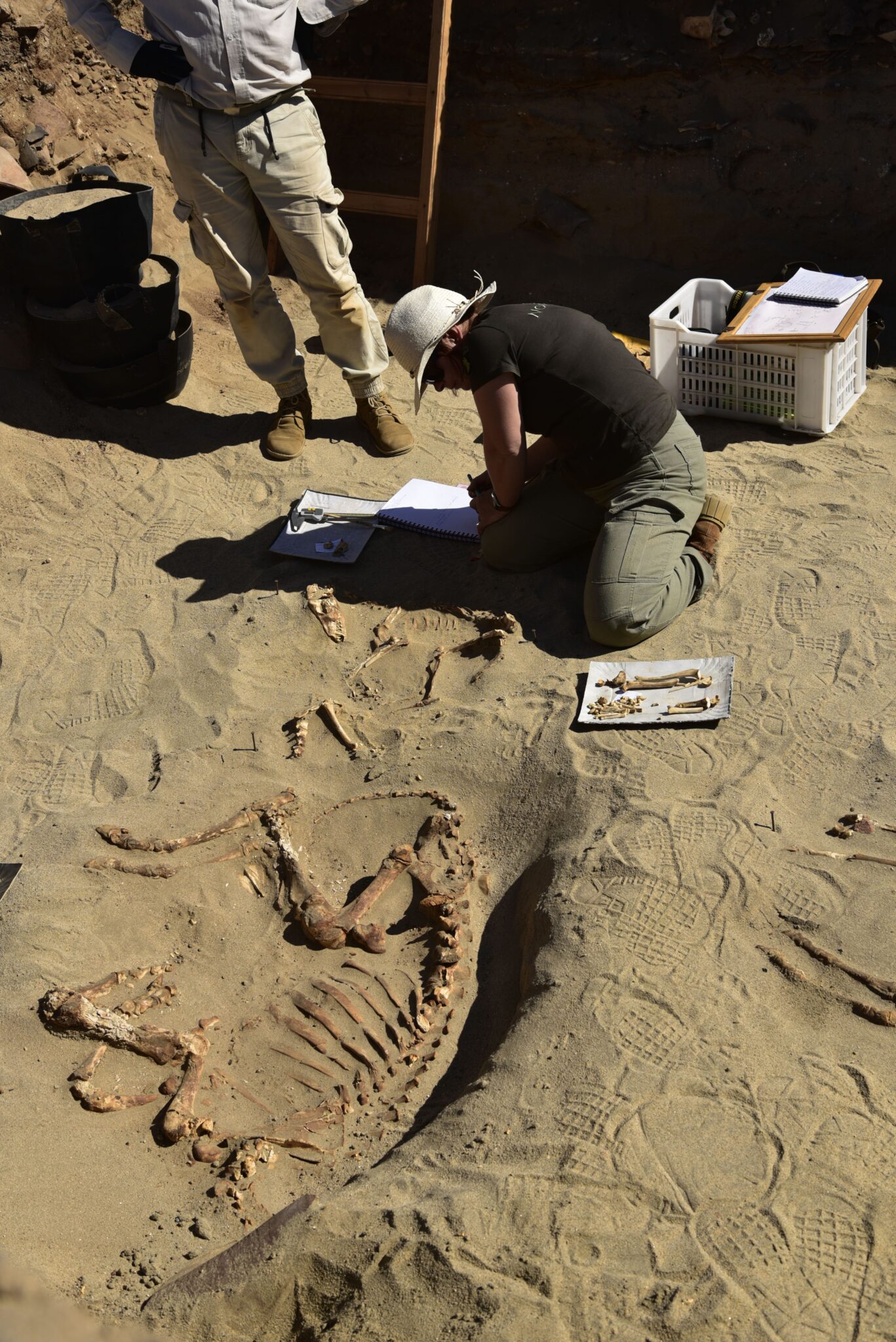 AFRICA | ARCHAEOLOGY WORLD