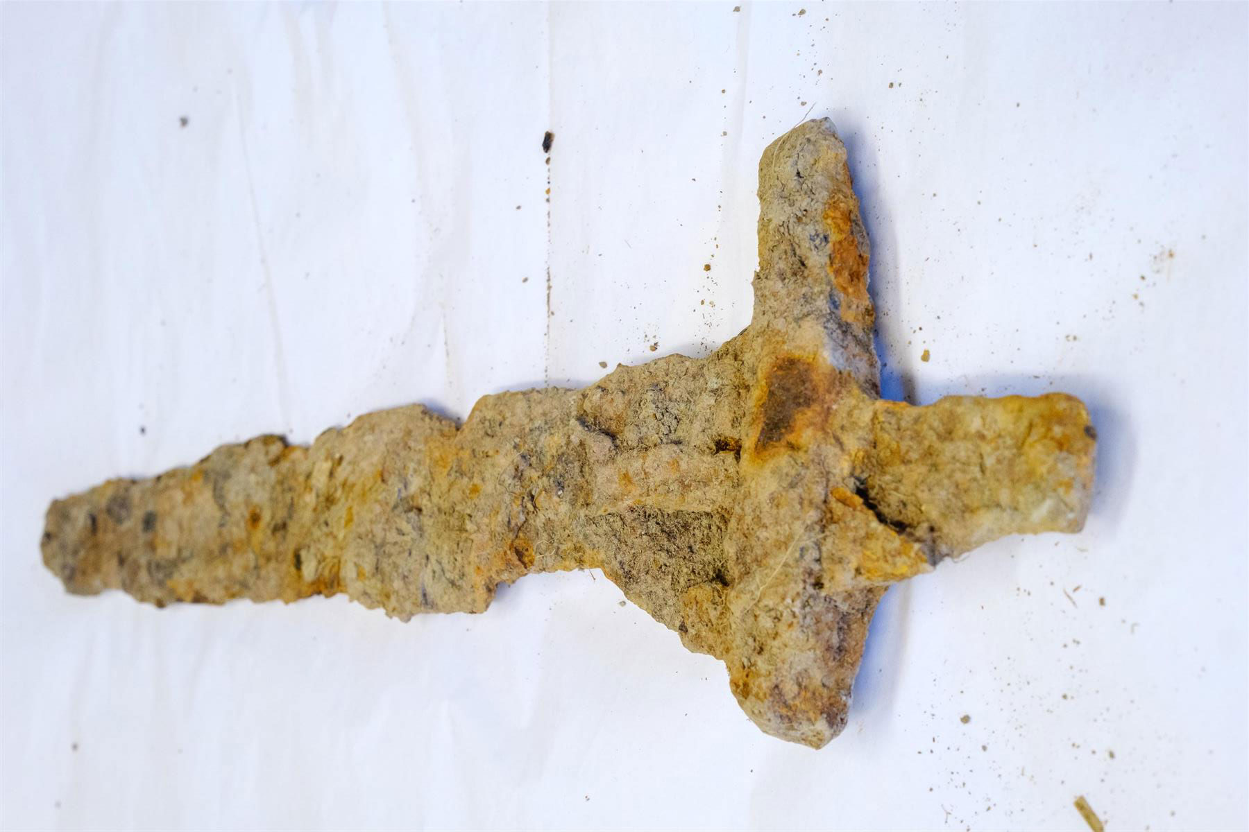 Viking sword with ‘very rare’ inscription discovered on family farm in ...