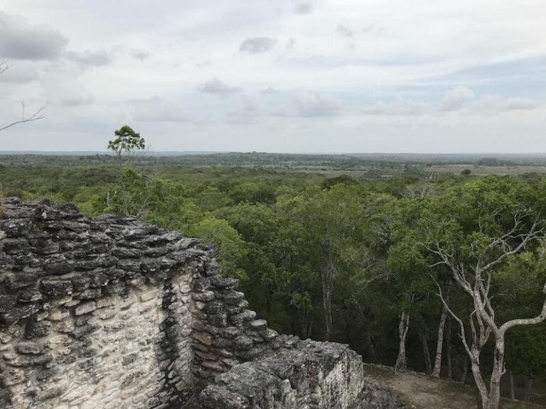 Lidar Technology Reveals a 3,000-year-old Secret Mayan City with Full ...