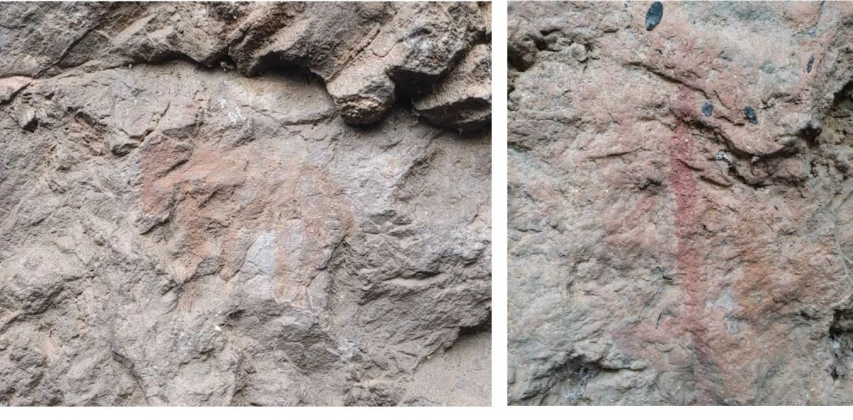 World’s Oldest Arrow Poison Discovered in South Africa, Dating Back ...