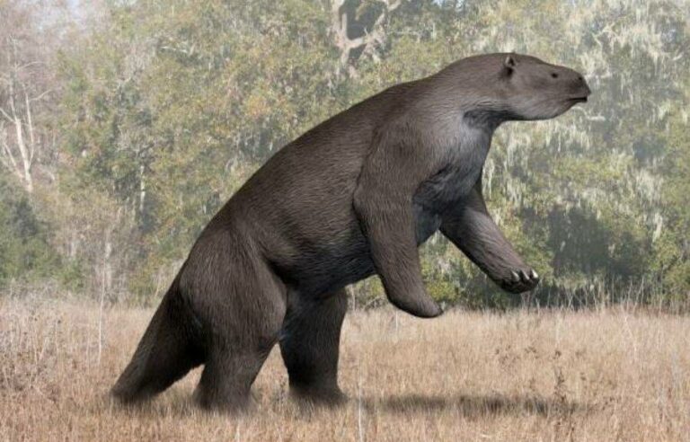 Meet The Megatherium: The Adorable 13-Foot Sloth That Ruled The ...